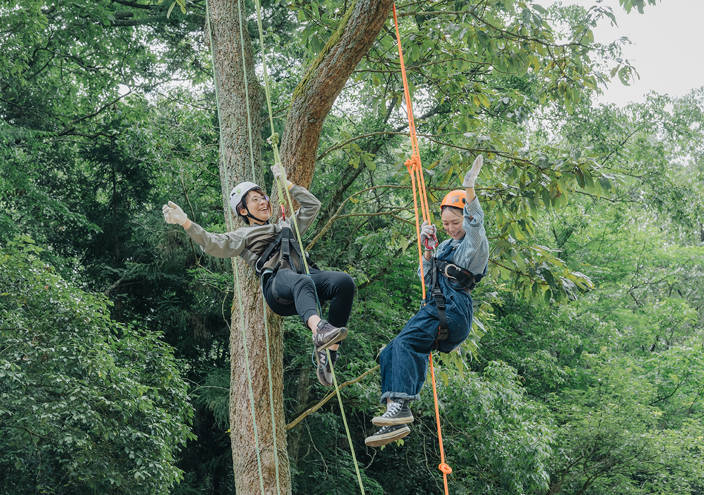 HATTORI FIELD by H2Oファーム